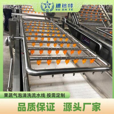 喷 淋气泡清洗机西兰花AII生净菜喷淋洗小菜机 韭菜青葱菜加工设