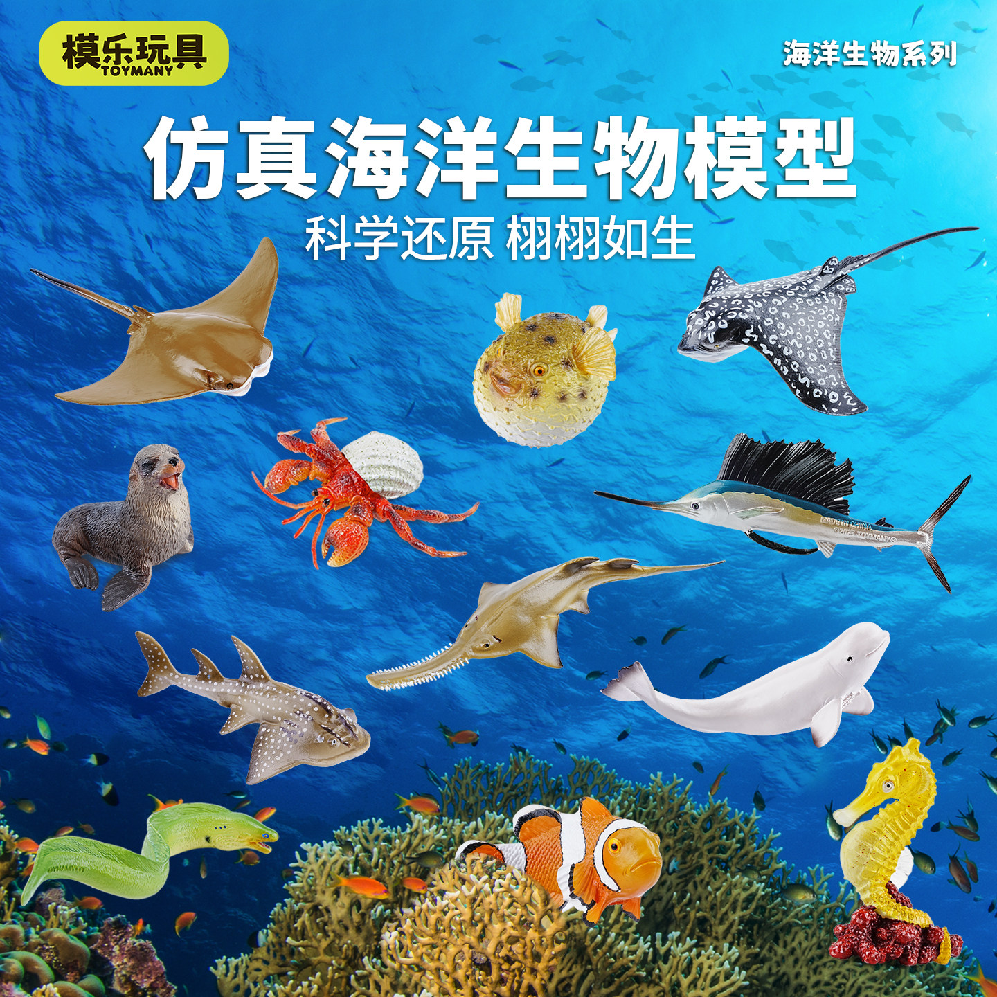 模乐玩具TOYMANY海洋生物系列仿真动物模型魔鬼鱼白鲸海豚小丑鱼
