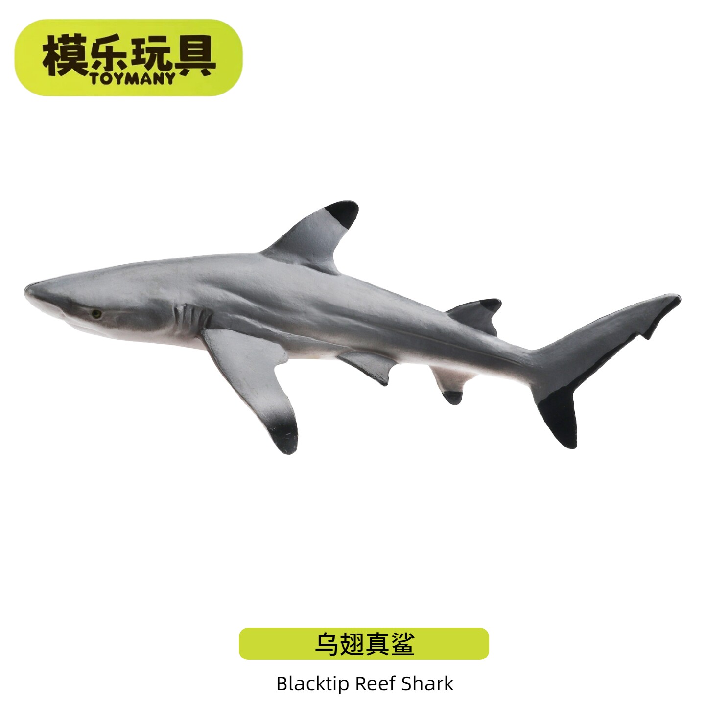 模乐玩具TOYMANY乌翅真鲨黑鳍鲨鱼海洋生物系列仿真动物模型玩具