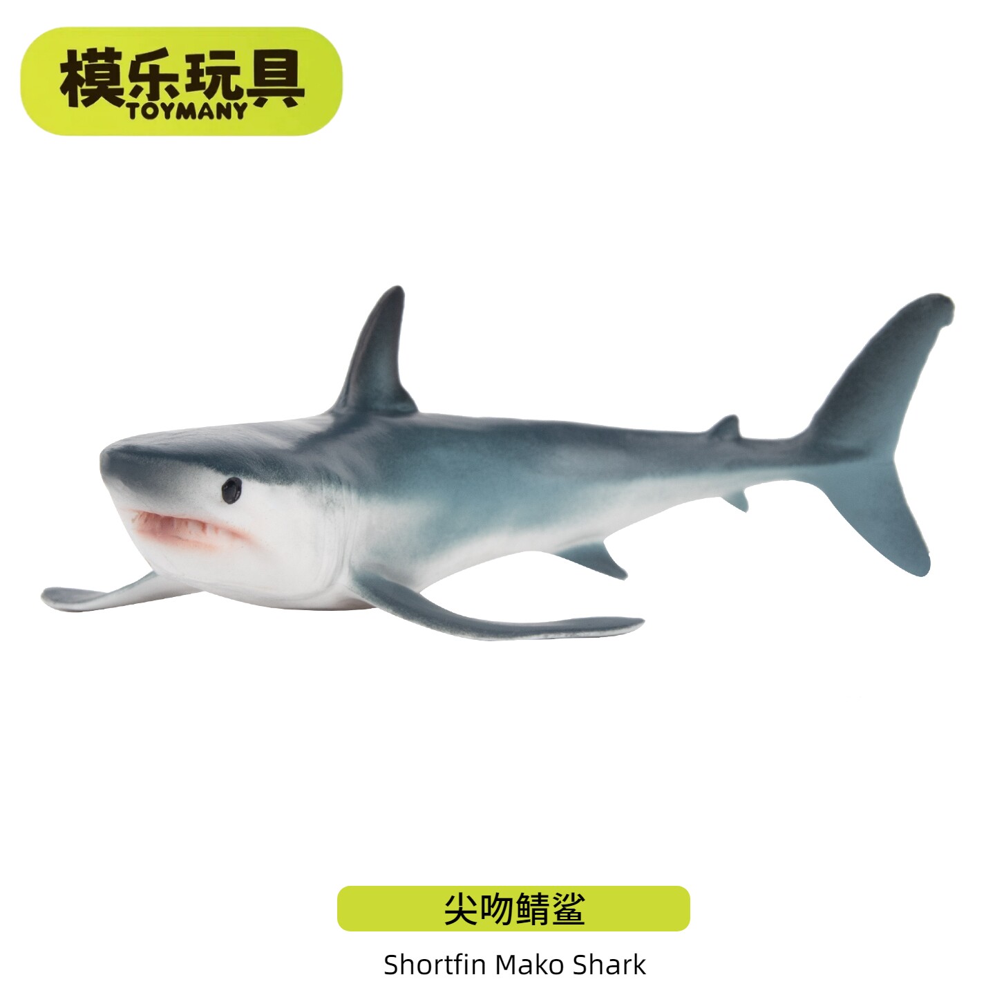 模乐玩具TOYMANY尖吻鲭鲨灰鲭鲨海洋生物系列仿真动物模型玩具