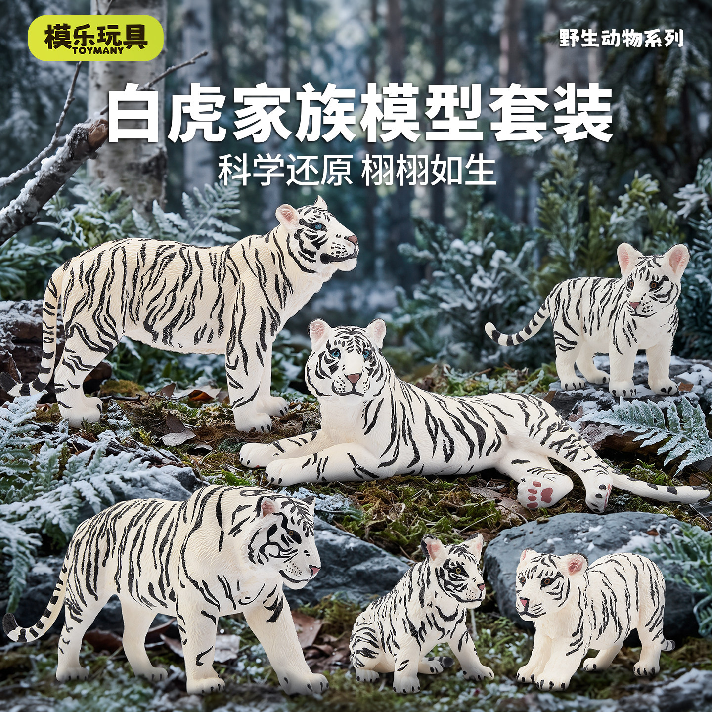 模乐玩具TOYMANY仿真野生动物模型孟加拉白虎老虎儿童玩具玩偶
