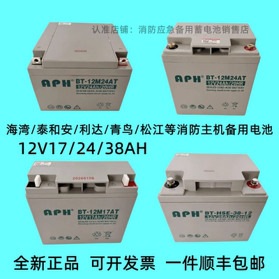 蓄电池BT-12M24AT海湾泰和安12V24AH17AH38AH北大青鸟消防主机UPS
