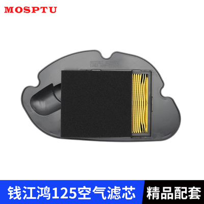 钱江QJMOTOR摩托车配件鸿125空气滤芯空滤器芯滤芯空气滤芯UUUY