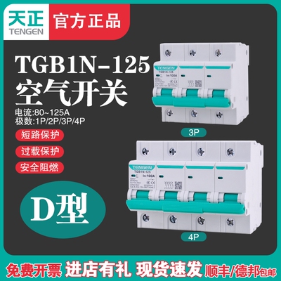 天正电气 TGB1N-125 D型空气开关 电动机动力型断路器1P 2P 3P 4P