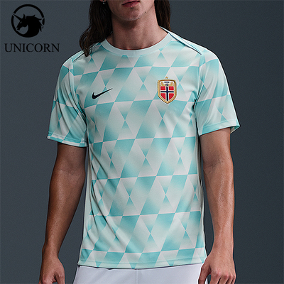 Nike/耐克正品男士吸汗排汗修身足球运动短袖T恤FZ9713-474