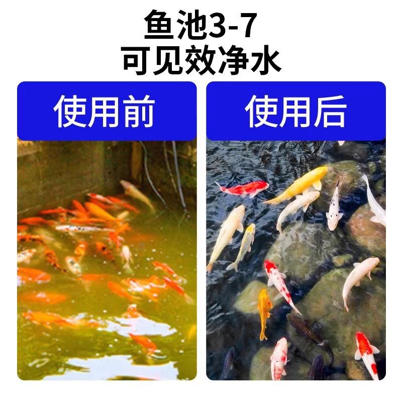 鱼池过器滤养水循环养系PFT过滤统净化鱼塘设备鱼室外户外大型水