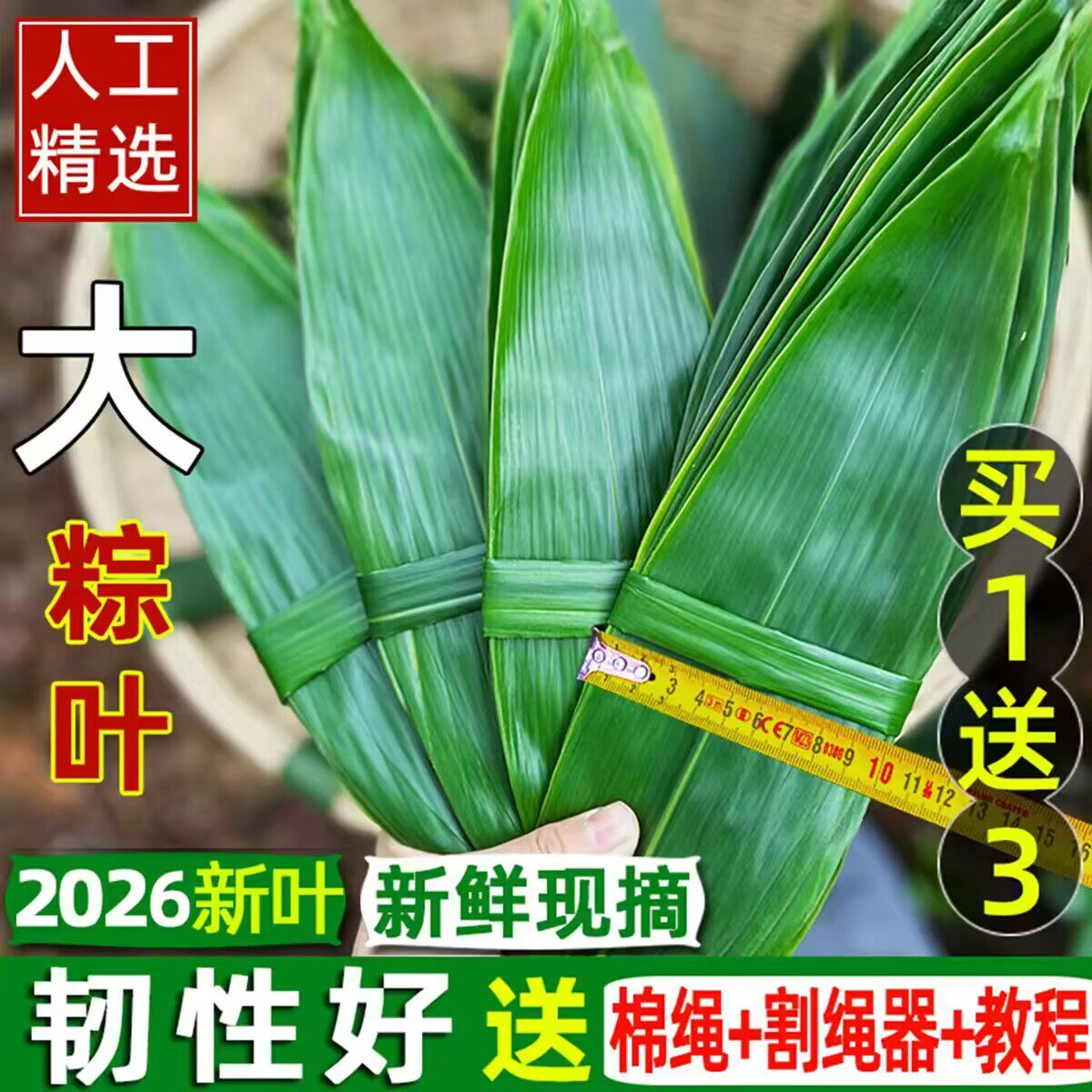 粽子叶野生粽叶新鲜大号新叶现摘包粽子专用的叶子端午节旗舰店