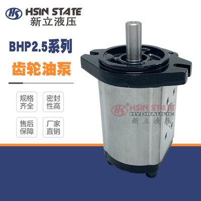 Boden齿轮泵BHP2.5A1D45C1F1/D30/D32/D36/D38/D40/D44/D25C1F1