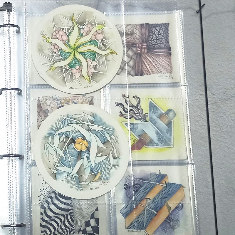 禅绕画纸砖收纳册透明磨砂A4活页识字卡片手绘水彩插画收藏邮票册