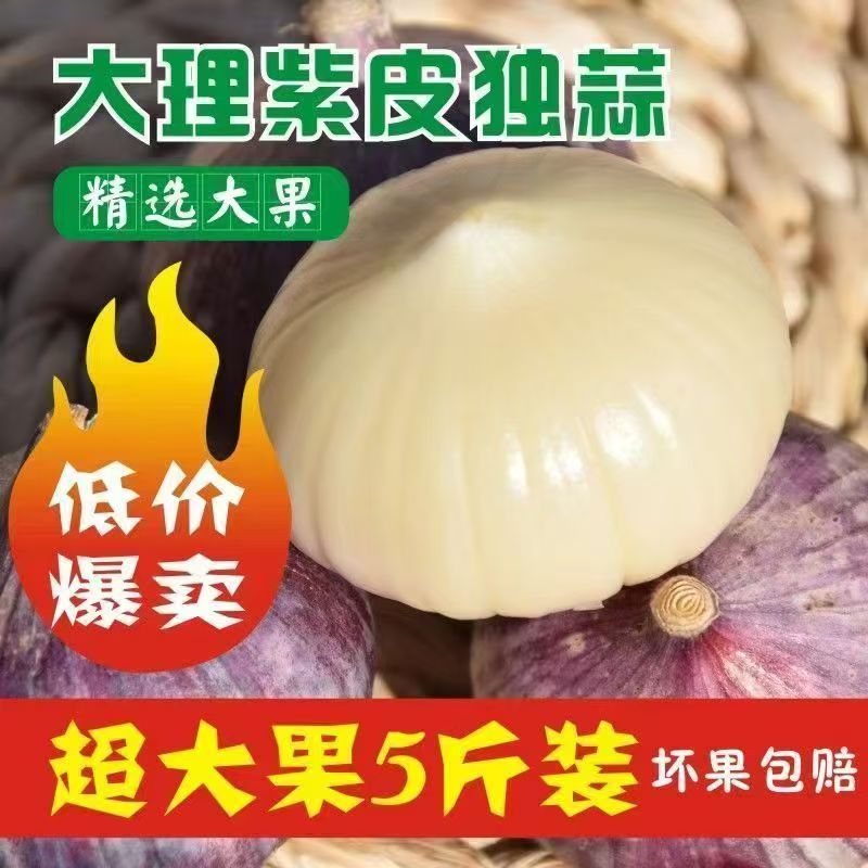 紫皮独头新鲜农家晒干大蒜圆头特价蔬菜批发当季包邮
