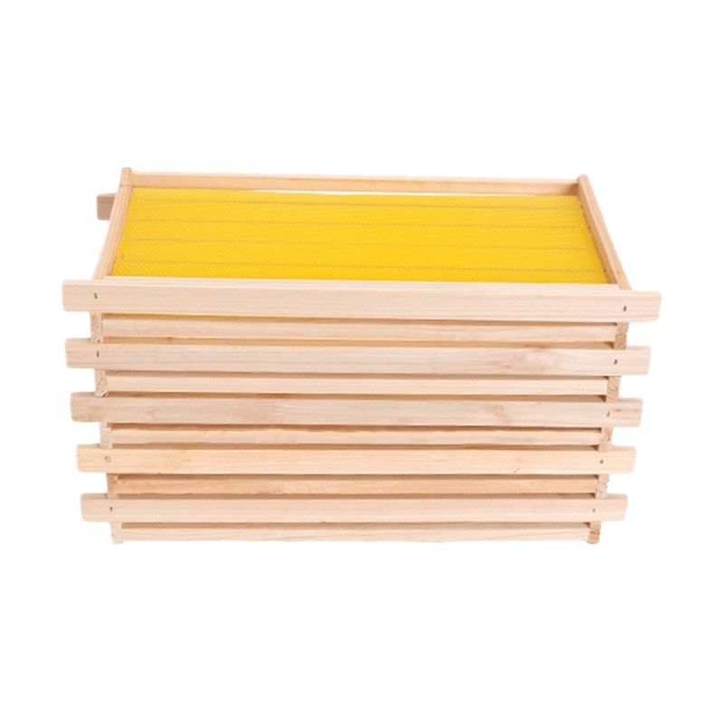 中蜂巢础巢框成品八千带框蜂巢意蜂巢脾巢基蜂箱工具养蜂蜂具