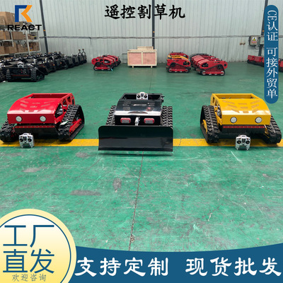 出口法国遥控智能汽油割草机