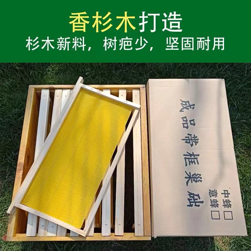 中蜂成品巢框意蜂巢础带框巢脾蜂蜡巢杉木蜂箱全养蜂工具