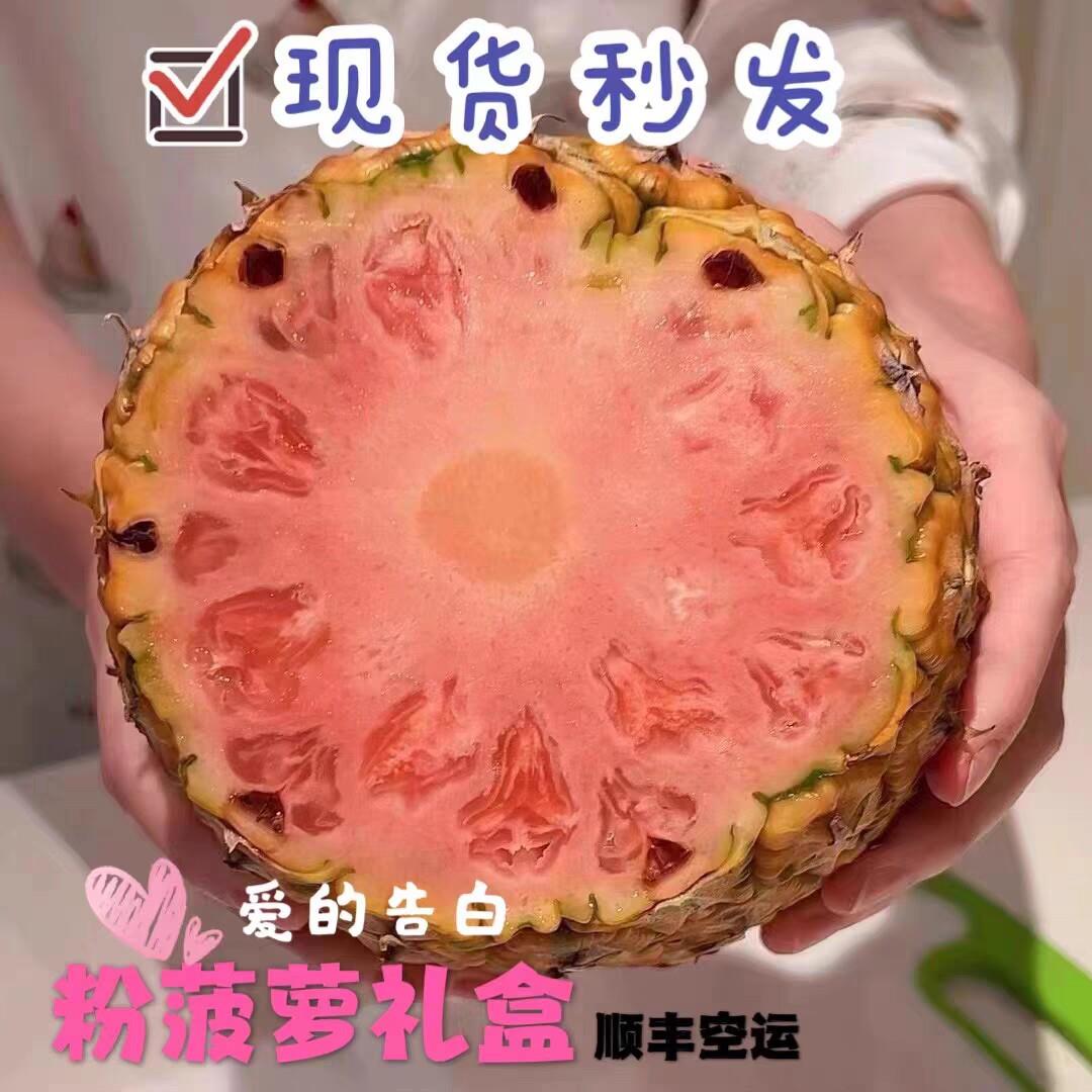 哥斯达黎加品种粉色菠萝凤梨礼盒1个装高端稀有水果儿童孕妇顺丰