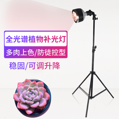 全光谱多肉补光灯球泡室内绿植卉上色光照灯生长灯