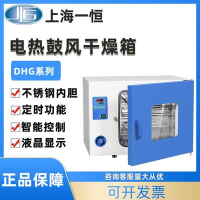 上海电热恒温鼓风干燥箱DHG-9015A烘箱300度工业烤箱烘干机