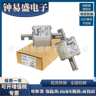 巴斯曼熔断器170M3170-3173