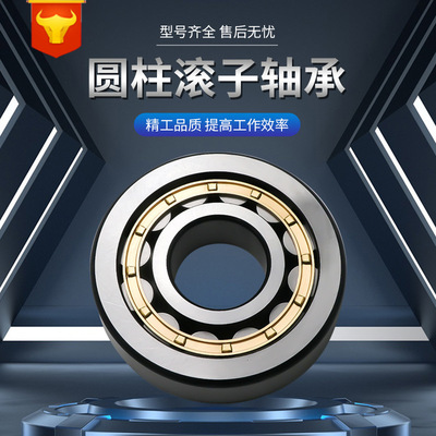 厂家优惠 二类圆柱滚子轴承nj2210  nj2324  nu332  nu208 nup303
