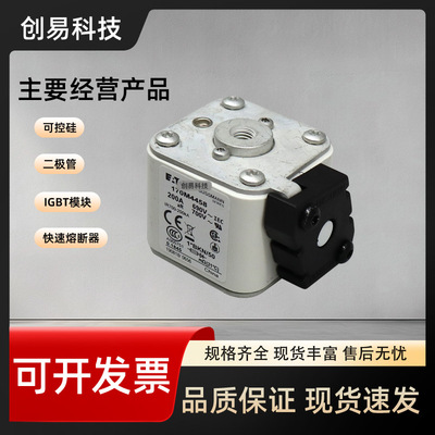 170M4458170M4459170M4460170M4461170M4462170M4463熔断器