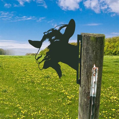 独立站热款公园剪影长颈鹿海龟老鹰狗熊动物铁艺庭院插件装饰品