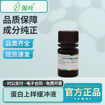源叶SDS-PAGE蛋白上样缓冲液