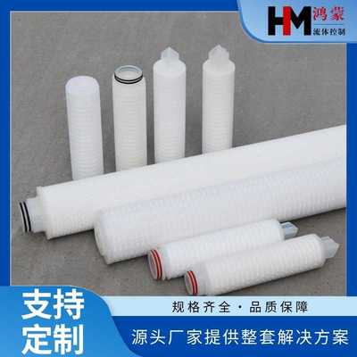 双氧水产品过滤器滤芯/W-CLPF0100TF20P/微孔折叠膜滤芯