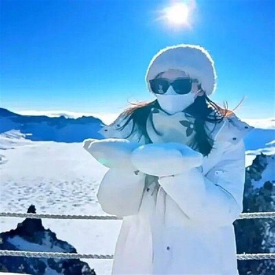 Thicken Plush Soft Winter Fingerless Gloves Women WarmFur