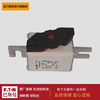 熔断器170M3246 170M3247 170M3248 170M4238 170M4239 170M4240