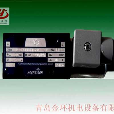 VPDM3PC06P300 HV07097 VPDR3PC06P210 hoerbiger