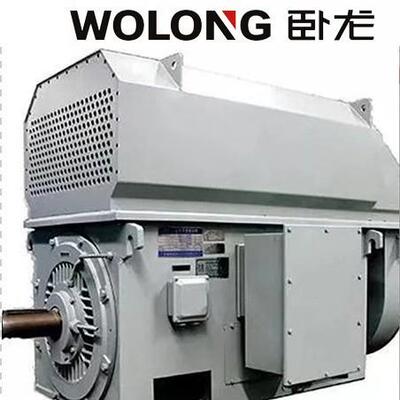 南阳防爆YX高压一级能效电动机IC611风冷结构 10V 6V上海品星