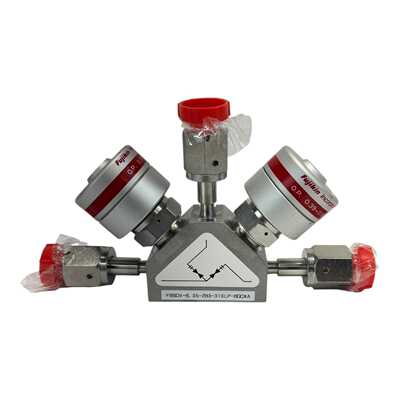 FUJIKIN FBSDV-6 35-2B3-316LP-BGC DIAPHRAGM 气门-