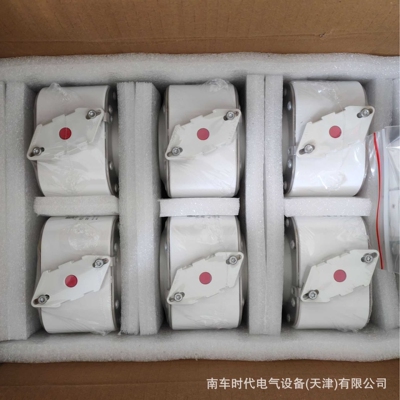 RS8 800V/2000A-P1m106NK半导体保护用熔断器 可靠耐用