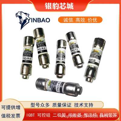 巴斯曼熔断器FWP-20A22Fa FWP-25A22Fa FWP-32A22Fa FWP-40A22Fa