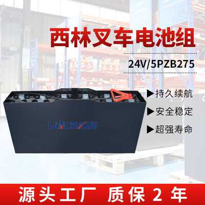 西林叉车CDD1545/2045电动堆垛车配套电瓶5PZB24V275AH铅酸电池组