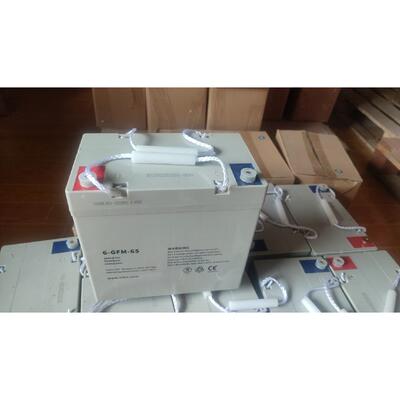 xilin西林叉车搬运车电池12V65Ah一只