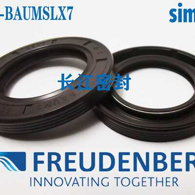 德国SIMMERRING A CFW BAUM3SLX7 30-42-7 22-40-7氟胶骨架油封
