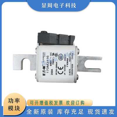 熔断器170M3110 3111 3112 3113 3114 3115 3116 3117 3118 3119