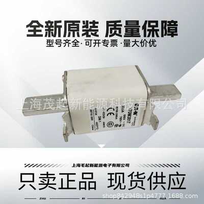 170M3815 170M3817 170M3810D 170M3812D 170M5806 巴斯曼熔断器