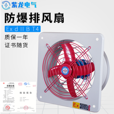 FAG/BFAG300400BFS防爆排风扇工业带桶220V380V消防安检换气扇