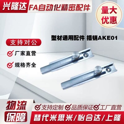 型材通用配件 插销AKE01 用于铝型材门框 安装于铝型材门内侧