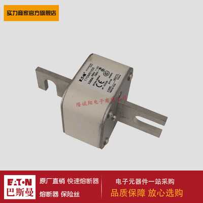 熔断器170M6168 170M6169 170M6170 170M6171 170M3208 170M3209