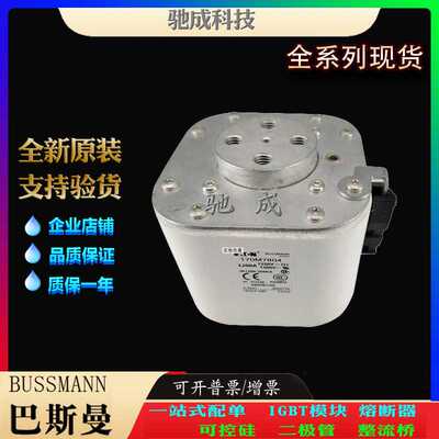 巴斯曼170M7121 170M7122 170M7123 厂家供货 销售 原装熔断器