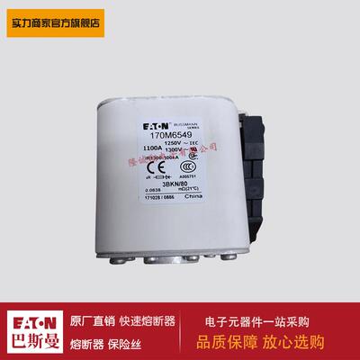 熔断器170M5448 170M6538 170M6539 170M6540 170M6541 170M6542