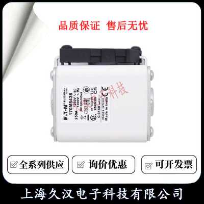 170M5438/5439/5440/5441/5442/5443 BUSSMANN 熔断器 保险丝FUSE