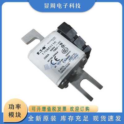 熔断器170M3110 3111 3112 3113 3114 3115 3116 3117 3118 3119