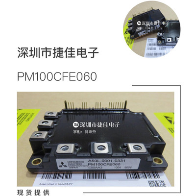PM100CES060 PM100CFE060 PM100CHS060 A50L-0001-0329 功率模块