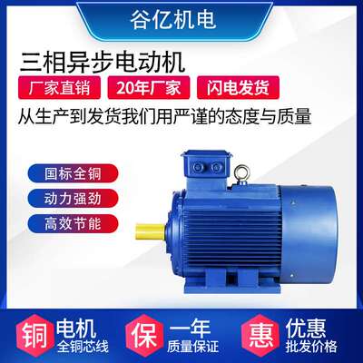 YE3-200L2-6-22KW三相异步电动机水泵清洗机风机配套三相电机