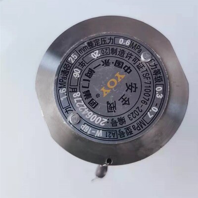 永一安全阀A21H-16P100P320PDN20DN25DN50螺纹铸钢不锈钢泄压阀