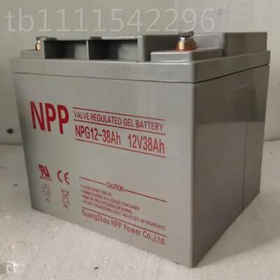 NPP普电RRI池NG12-6蓄5AH 12V6P5AH UPS核电站发电耐储能