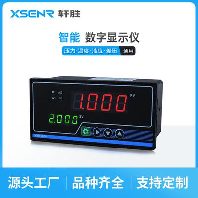 XMT5000智能数字远传显示仪4-20mAPID数显压力控制器调节仪